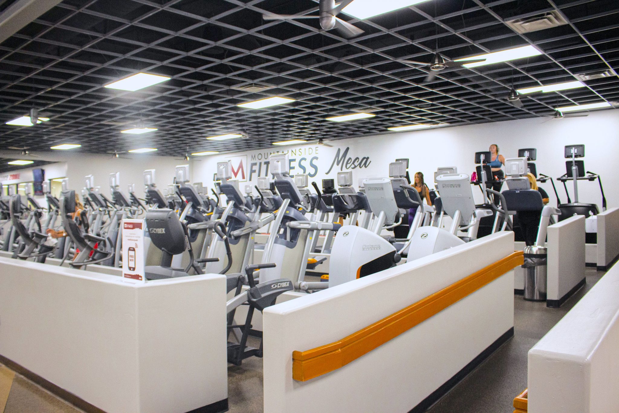 Gym in Mesa, AZ | Mountainside Fitness
