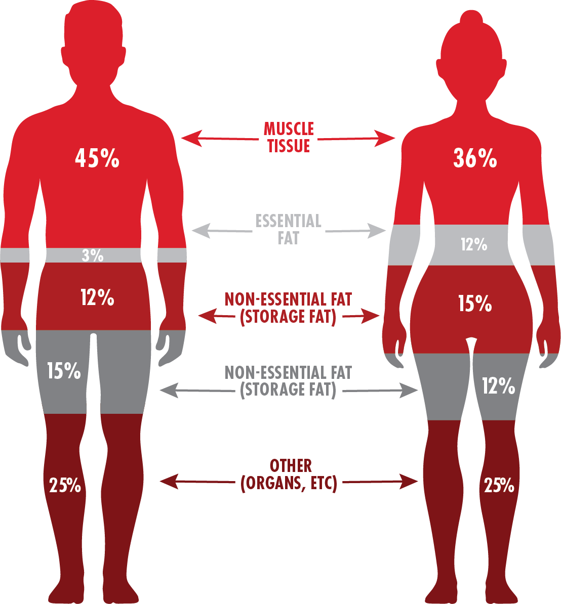 Fitness Consultation | Mountainside Fitness